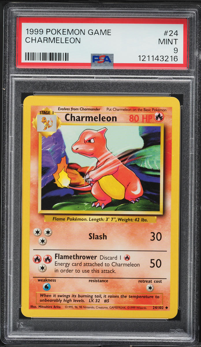 1999 Pokemon Base Set Charmeleon #24 PSA 9 MINT on Fanatics Collect