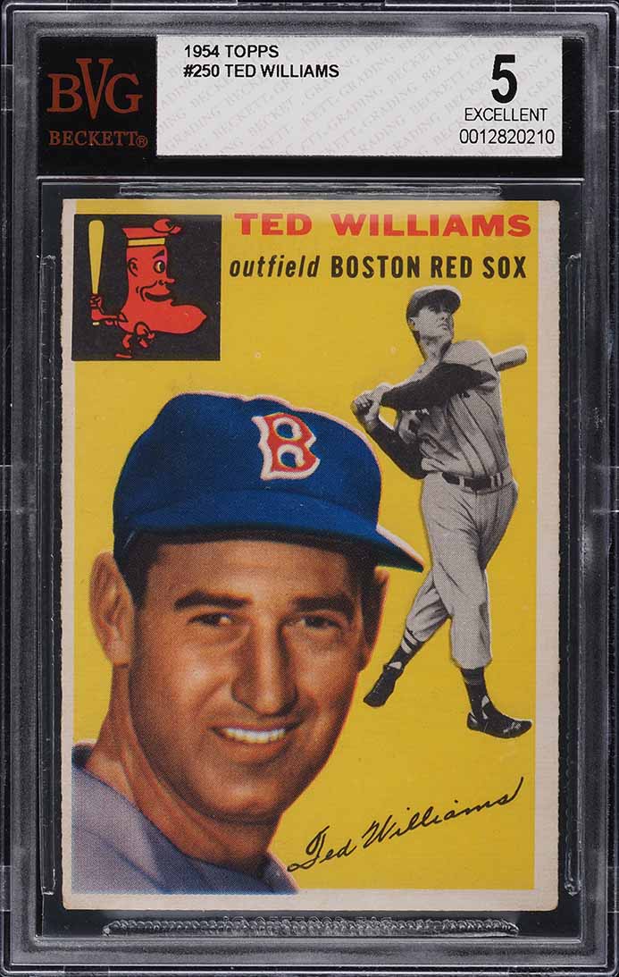 1954 Topps Ted Williams #250 BVG 5 EX on Fanatics Collect
