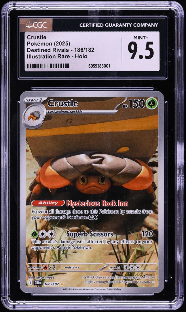 2025 Pokemon Scarlet & Violet Destined Rivals IR Crustle #186 CGC 9.5 MINT+ on Fanatics Collect
