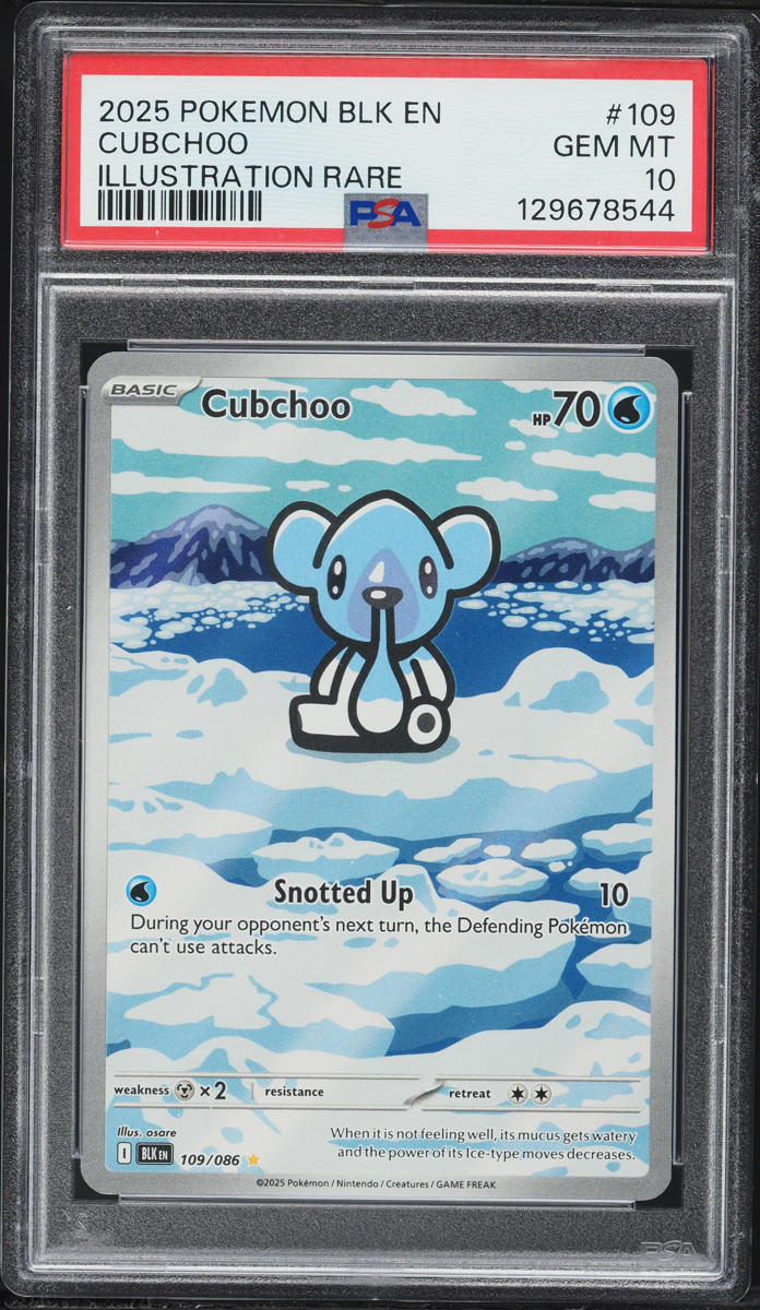 2025 Pokemon Scarlet & Violet Black Bolt IR Cubchoo #109 PSA 10 GEM ...