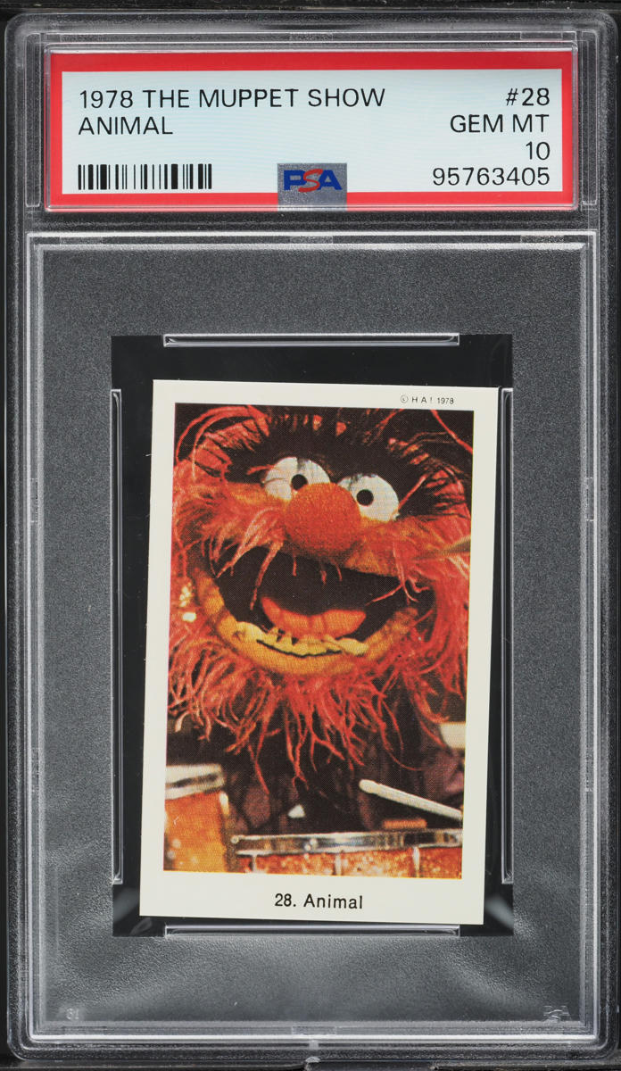 1978 Samlarbilder The Muppet Show Animal #28 PSA 10 GEM MINT on ...