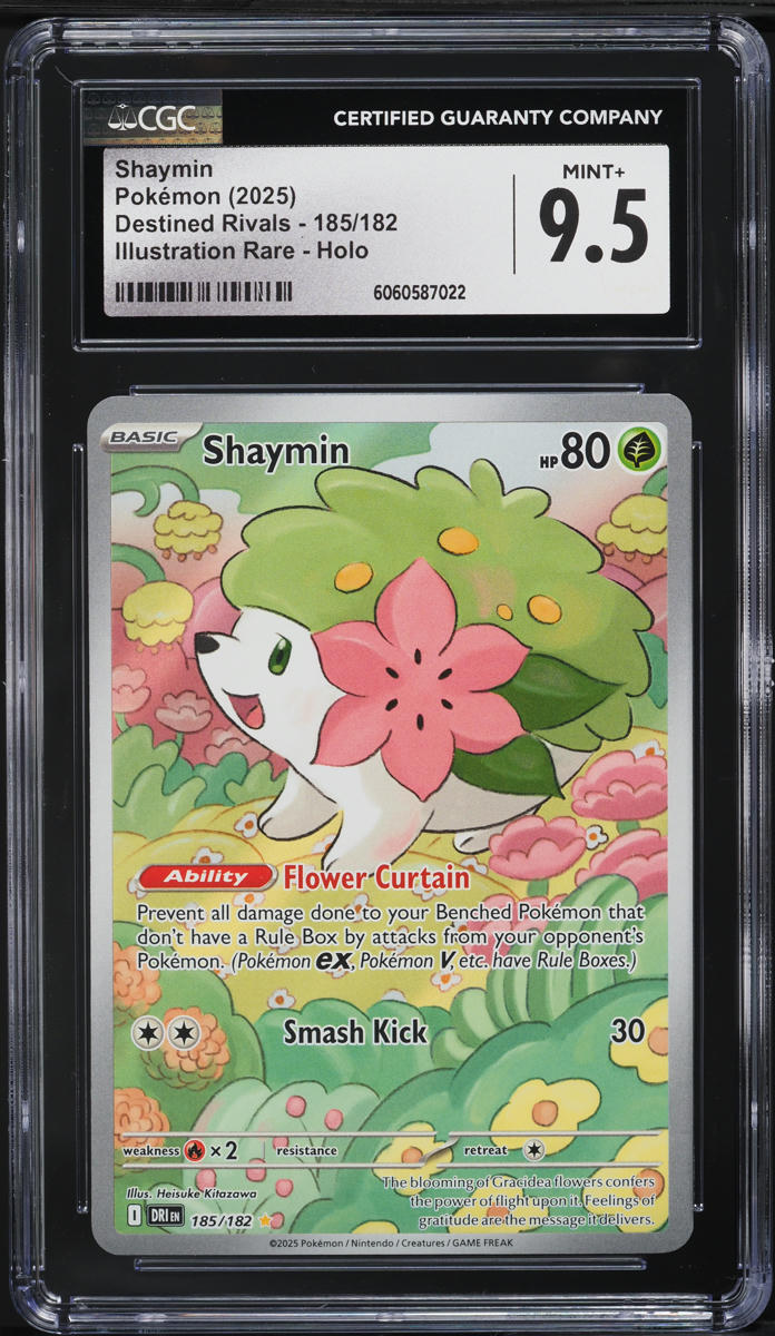 2025 Pokemon Scarlet & Violet Destined Rivals IR Shaymin #185 CGC 9.5 MINT+ on Fanatics Collect