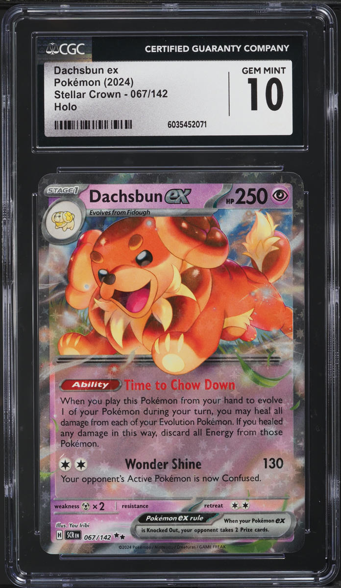 2024 Pokemon Scarlet & Violet Stellar Crown Dachsbun ex #67 CGC 10 GEM MINT on Fanatics Collect