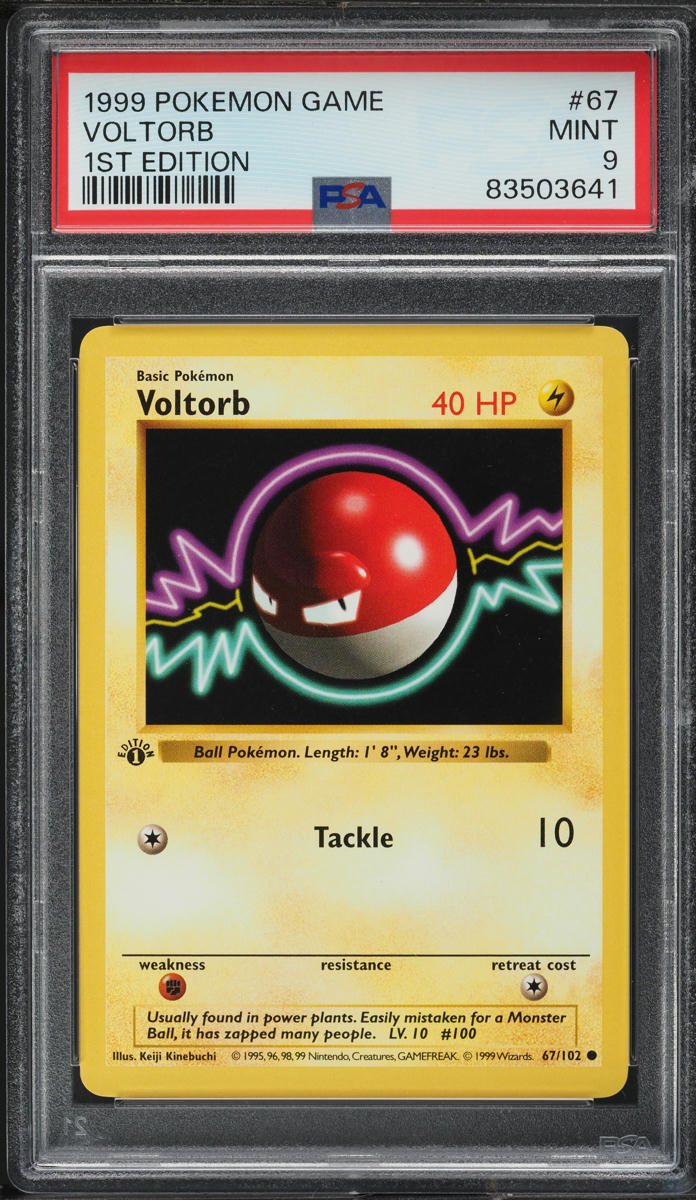 1999 Pokemon Base Set Shadowless 1st Edition Voltorb #67 PSA 9 MINT on Fanatics Collect