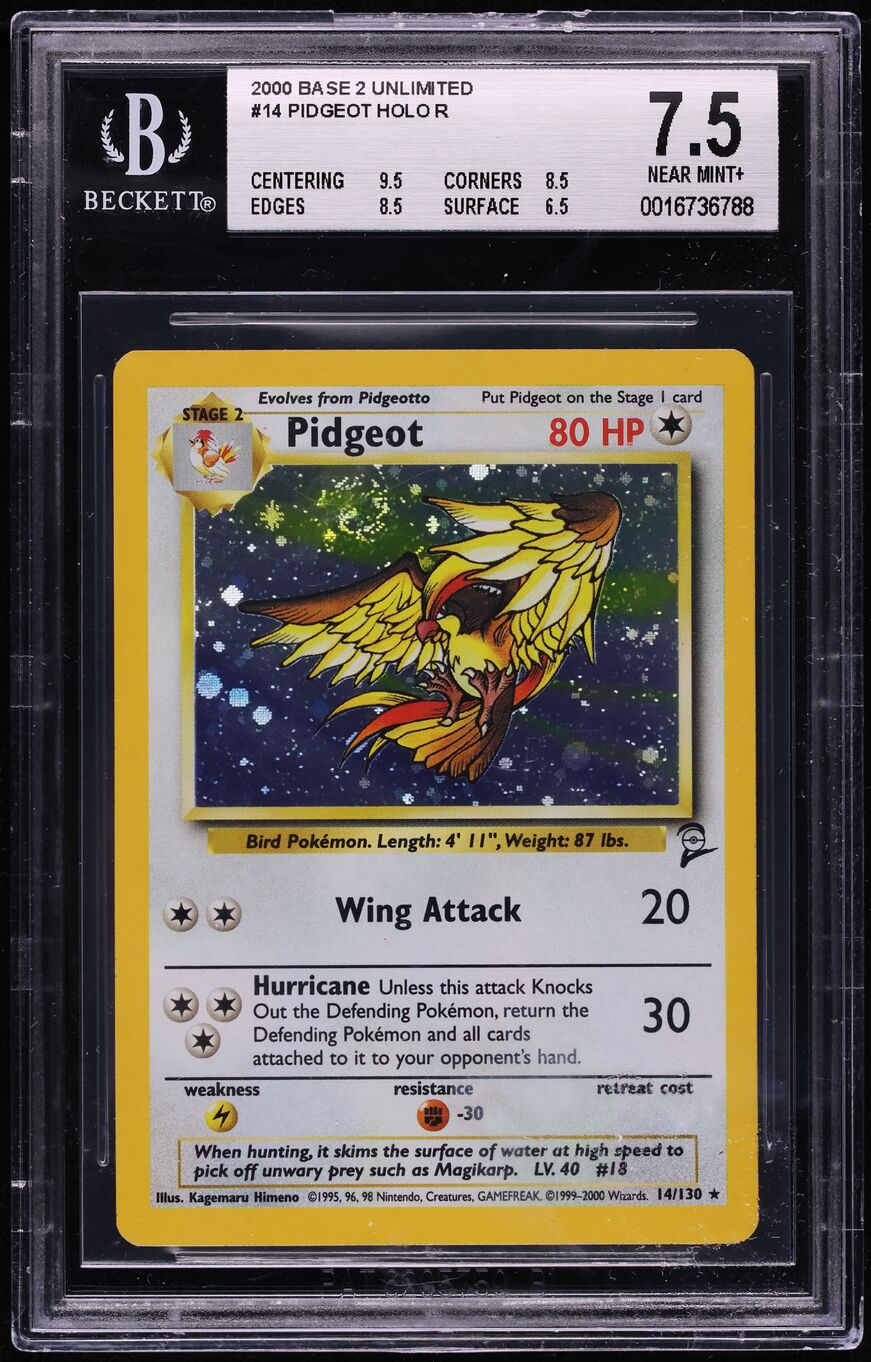 2000 Pokemon Base Set 2 Holo Pidgeot #14 BGS 7.5 NRMT+ on Fanatics Collect