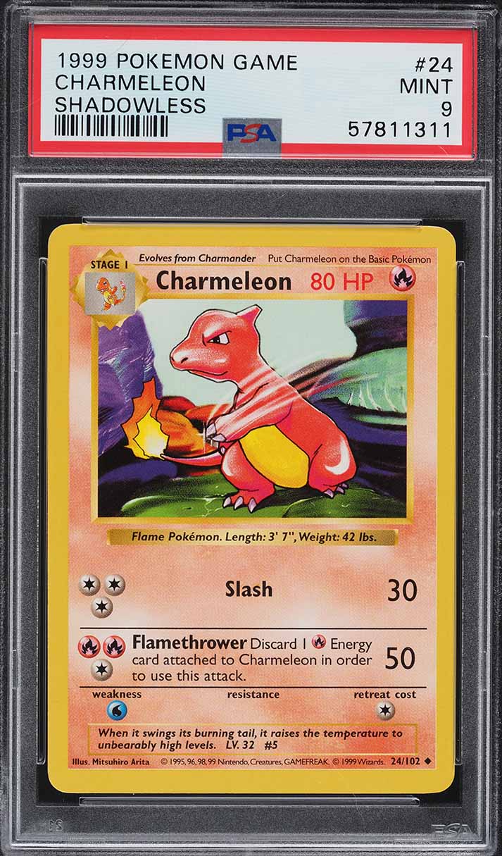 1999 Pokemon Base Set Shadowless Charmeleon #24 PSA 9 MINT on Fanatics ...