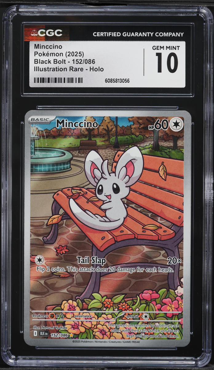 2025 Pokemon Scarlet & Violet Black Bolt IR Minccino #152 CGC 10 GEM MINT on Fanatics Collect