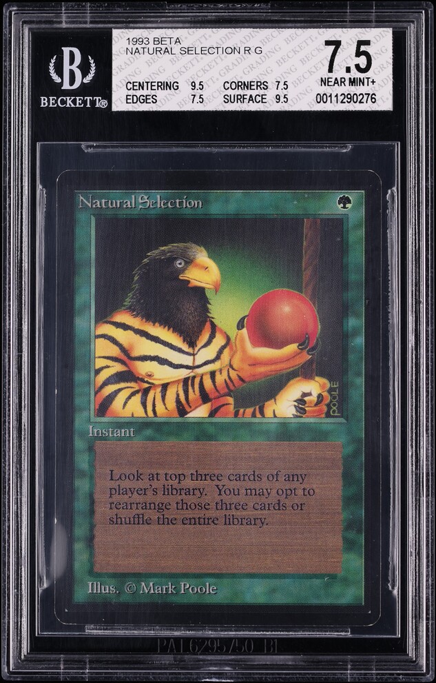 1993 Magic The Gathering MTG Beta Natural Selection BGS 7.5 NRMT+ on ...
