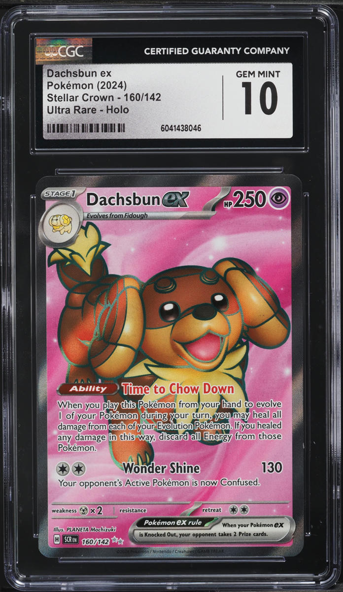 2024 Pokemon SV Stellar Crown Full Art Dachsbun ex #160 CGC 10 GEM MINT on Fanatics Collect