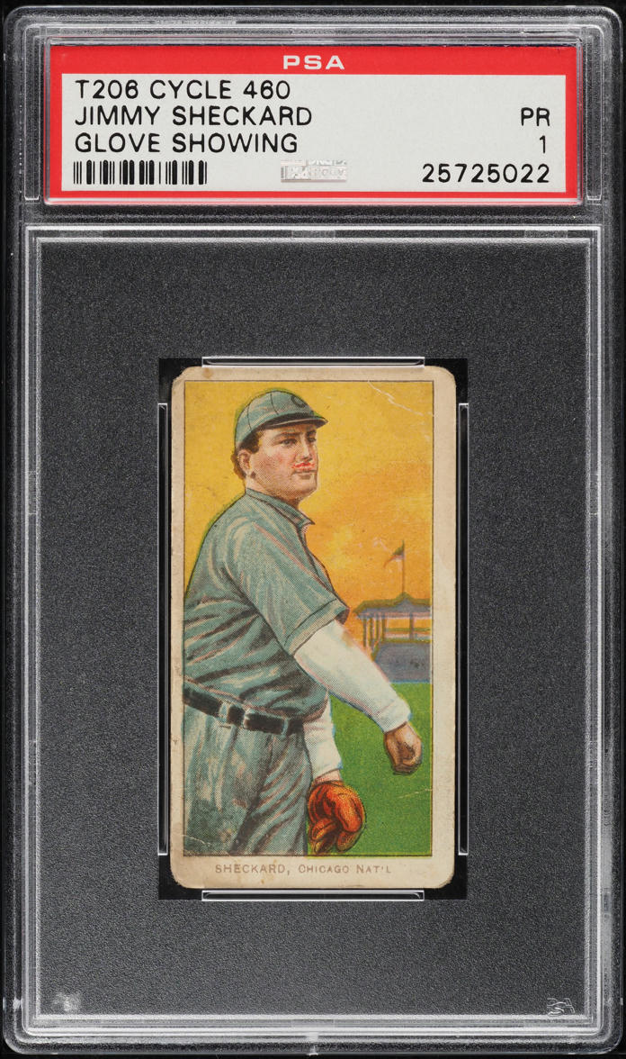 1909-11 T206 Jimmy Sheckard GLOVE SHOWING, CYCLE 460 PSA 1 PR on ...