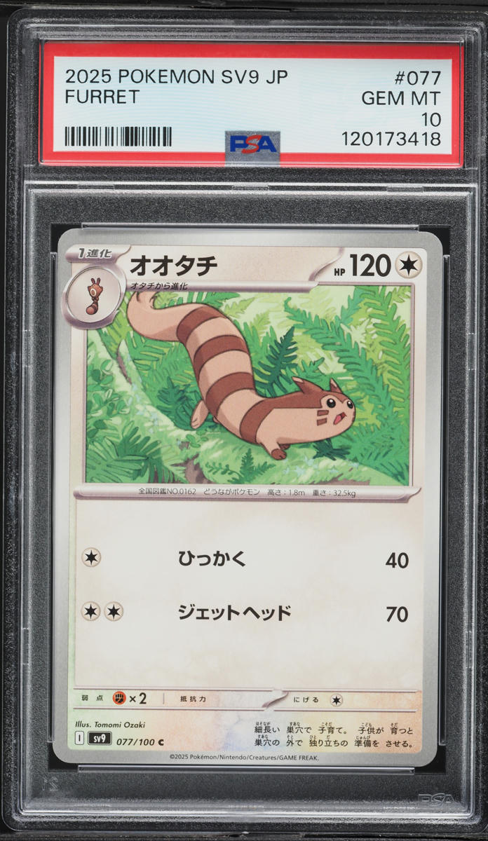 2025 Pokemon Japanese Sv9-Battle Partners Furret #077 PSA 10 GEM MINT ...