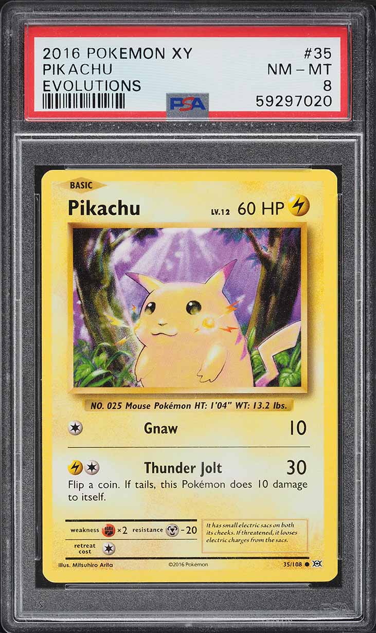 2016 Pokemon XY Evolutions Pikachu #35 PSA 8 NM-MT on Fanatics Collect