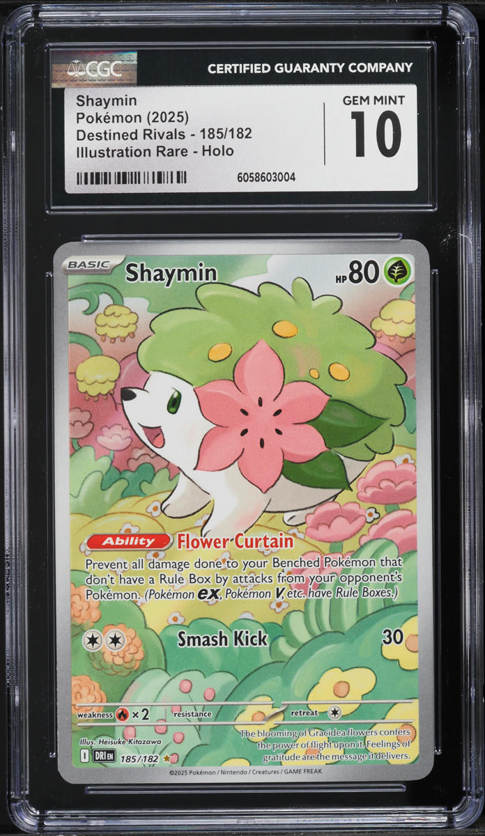 2025 Pokemon Scarlet & Violet Destined Rivals IR Shaymin #185 CGC 10 GEM MINT on Fanatics Collect