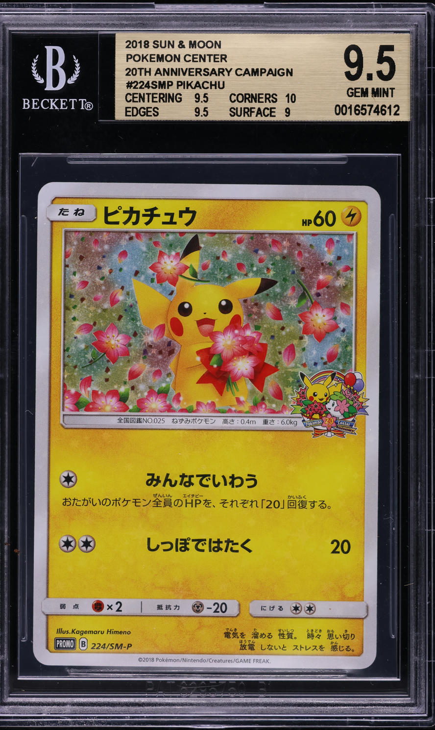 2018 Pokemon Japanese SM Promo 20th Anniversary Camp Pikachu #224 BGS 9 ...