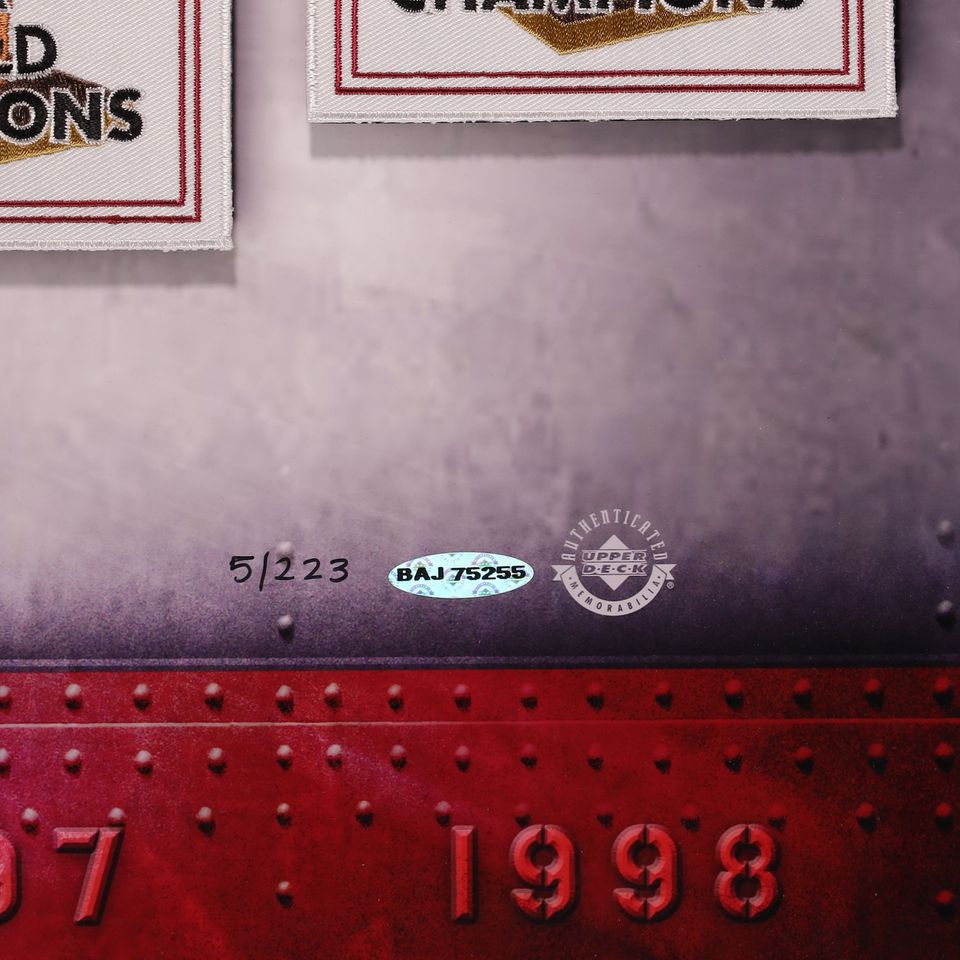 Michael Jordan Signed Auto Framed Bulls Shadow Banner /223 - Upper Deck ...