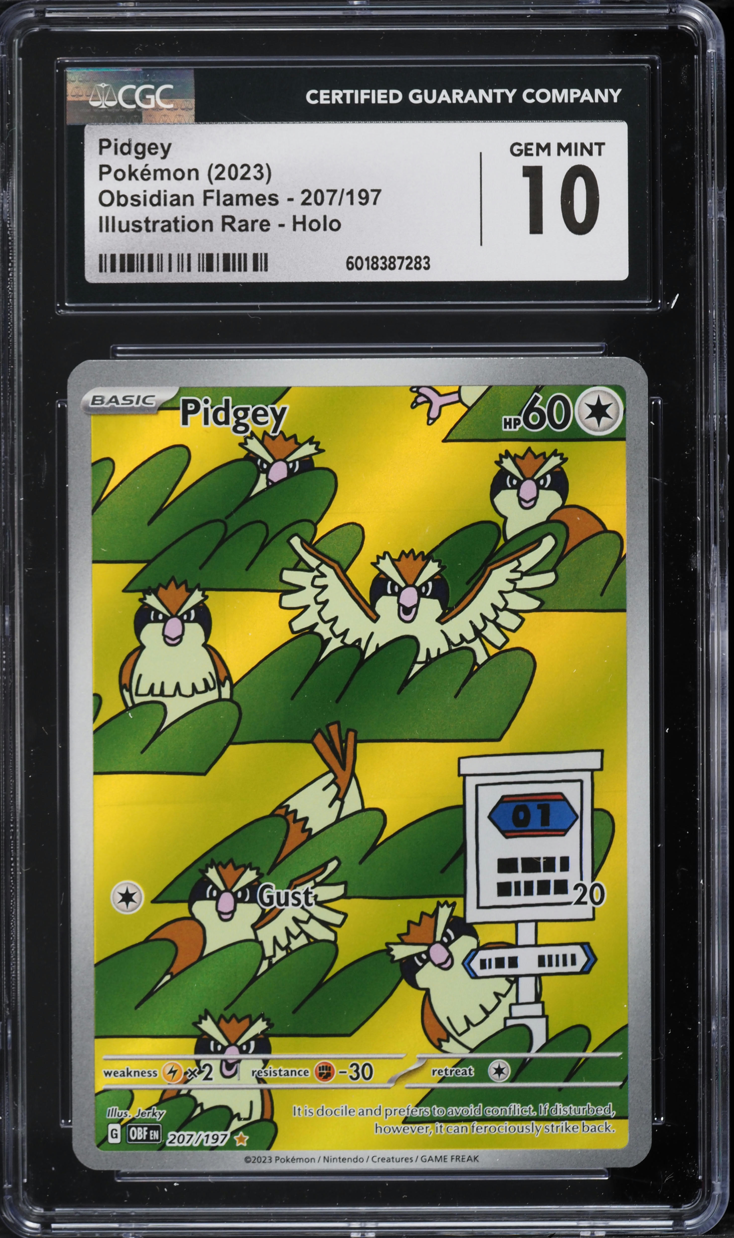 Pidgey 2023 Scarlet & Violet: Obsidian Flames #207/197 Illustration ...