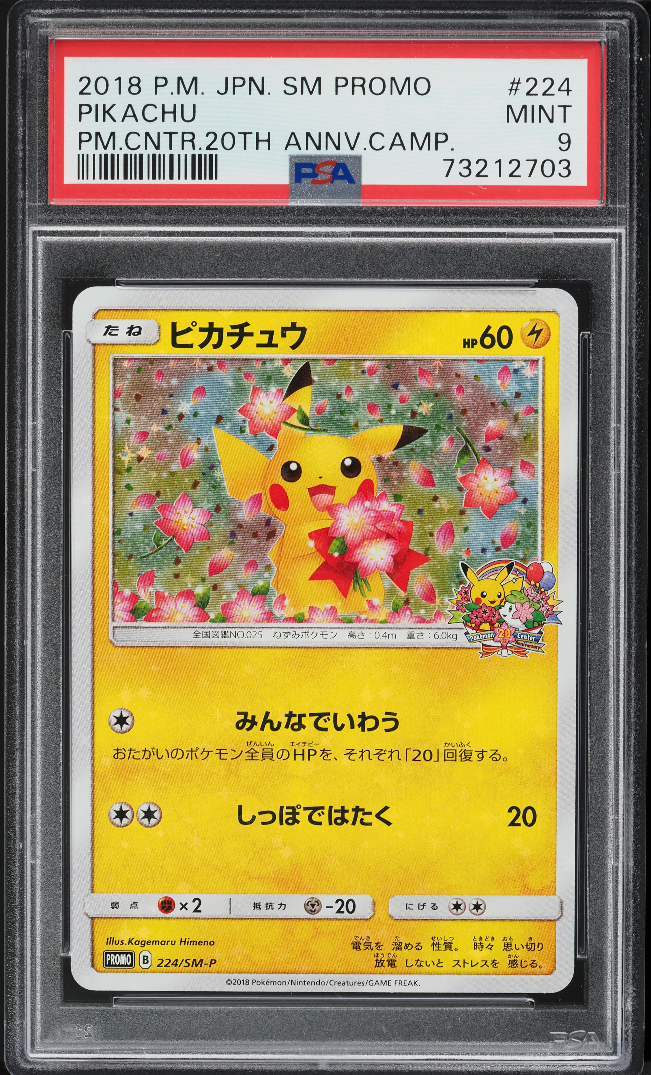 2018 Pokemon Japanese SM Promo 20th Anniversary Camp Pikachu #224 PSA 9 ...